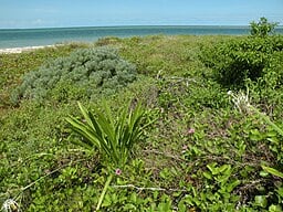 The Key West Wildlife Refuge: A Must-Visit for Nature Lovers