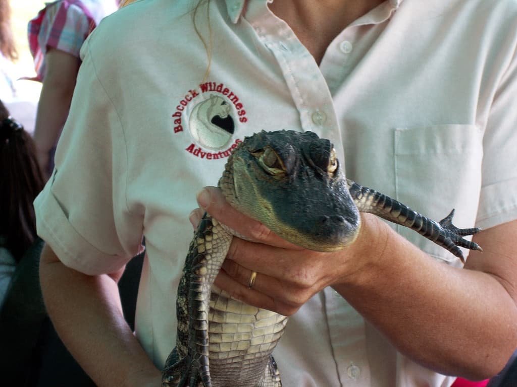 Babcock Ranch - Florida's Solar Powered Community