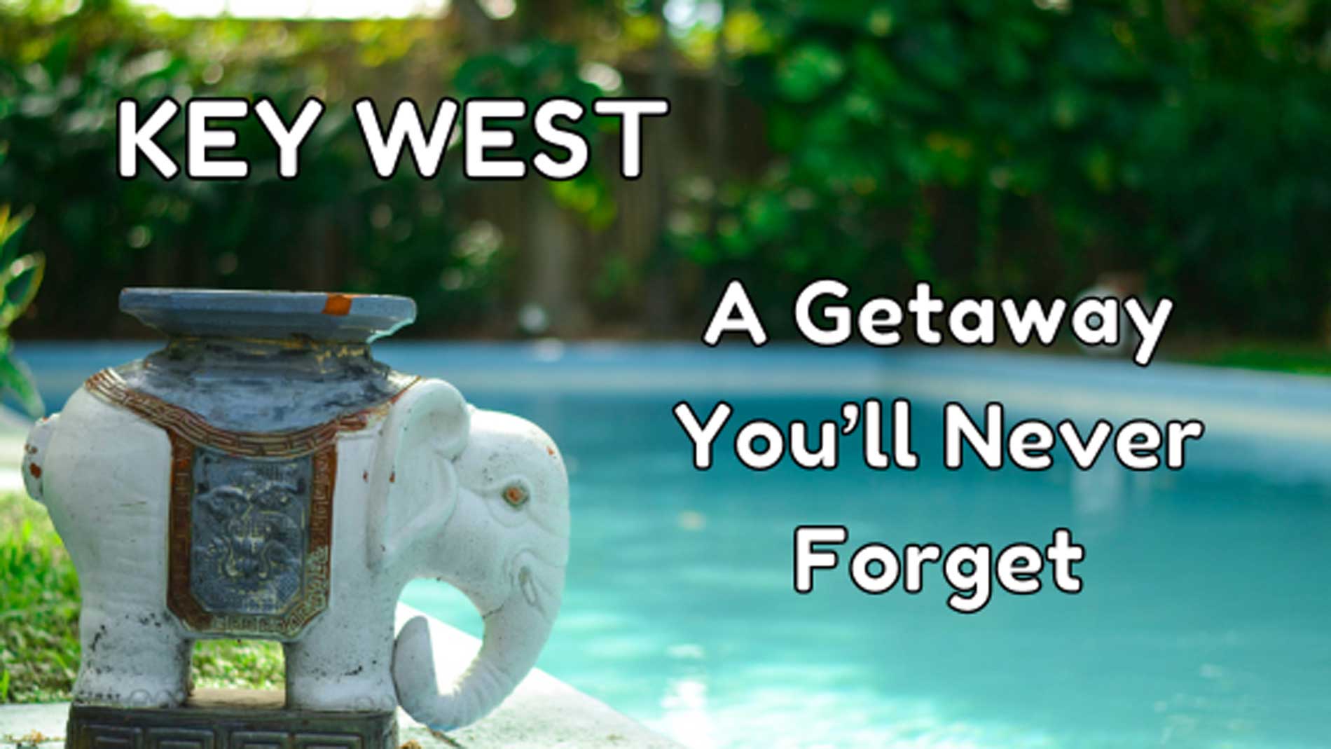 A Vacation You'll Never Forget