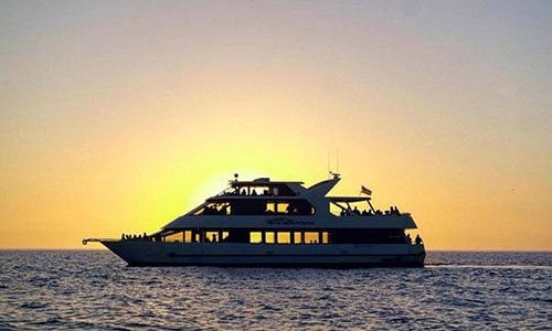 Explore Marco Island Princess Activities: Cruise, Dine, and Discover!